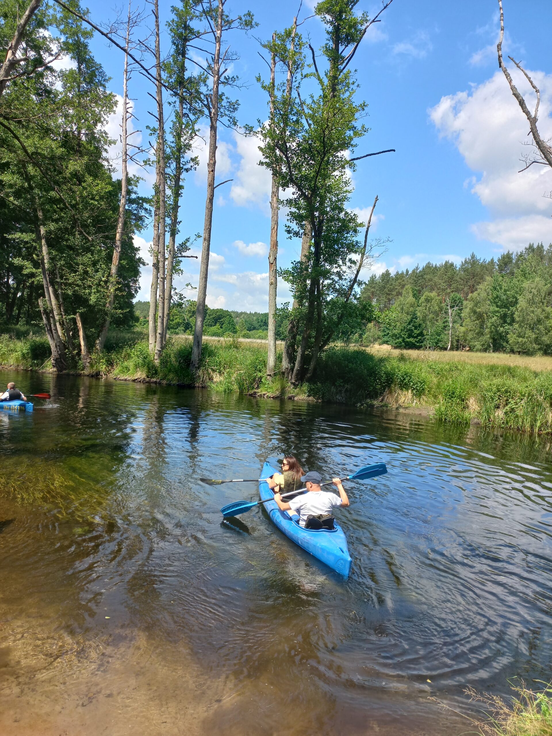 Spływy Kajakowe Rzeka Cieszynka - drawskiekajaki - rzeka drawa kajaki